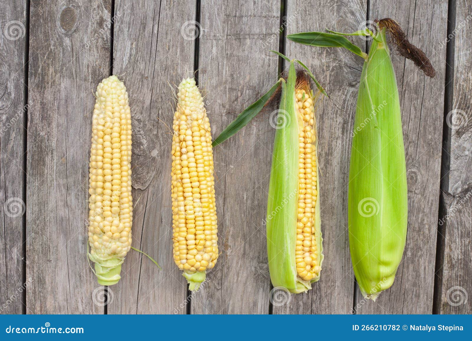 A Few Cobs of Corn are on the Table. Top View Stock Photo - Image of ...