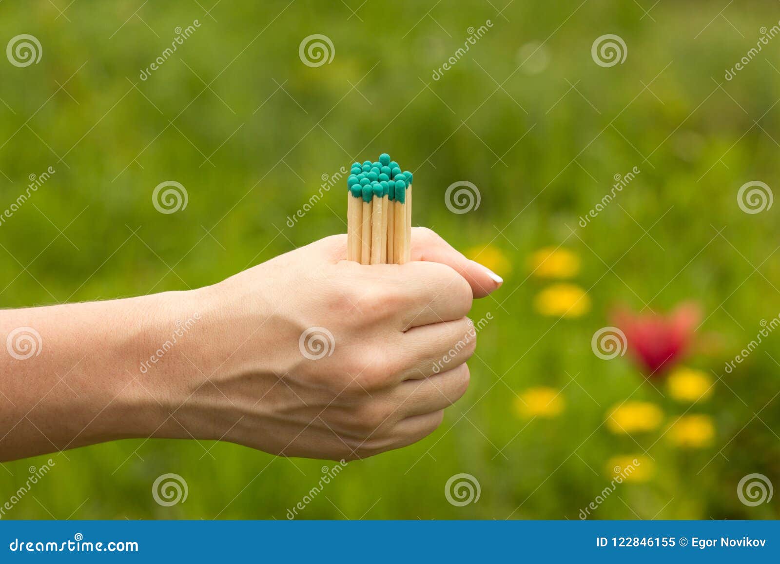 A Few Matches in a Woman`s Hand, Close-up Stock Image - Image of ...