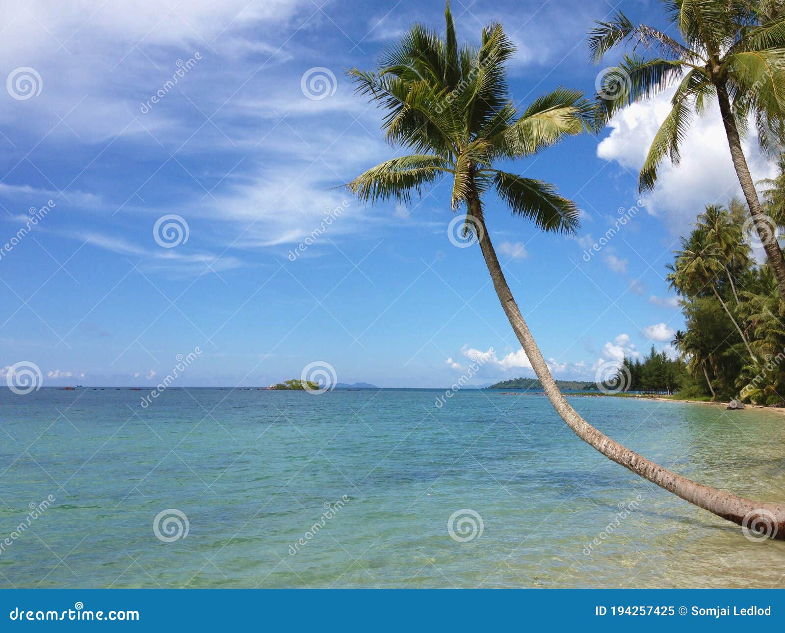 Few Palm Trees Over Stunning Tropical Lagoon Stock Image - Image of ...