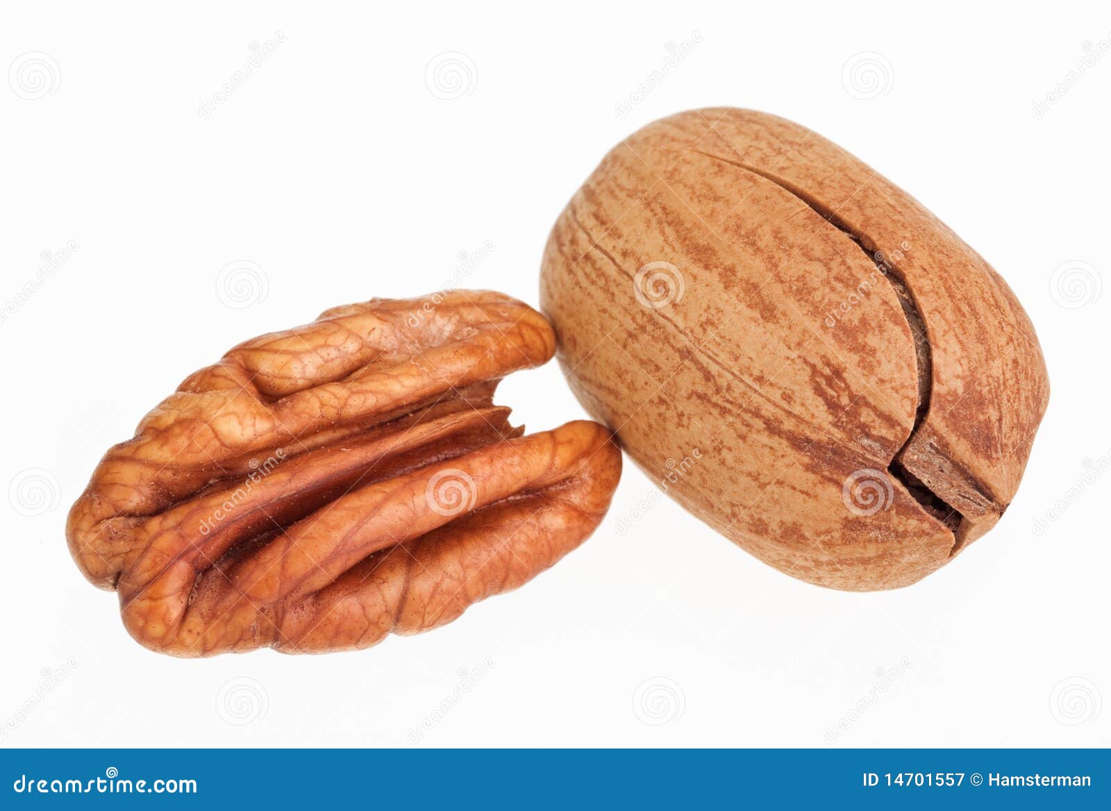 Few Pecan Nuts, One Cracked Stock Image - Image of unshelled ...