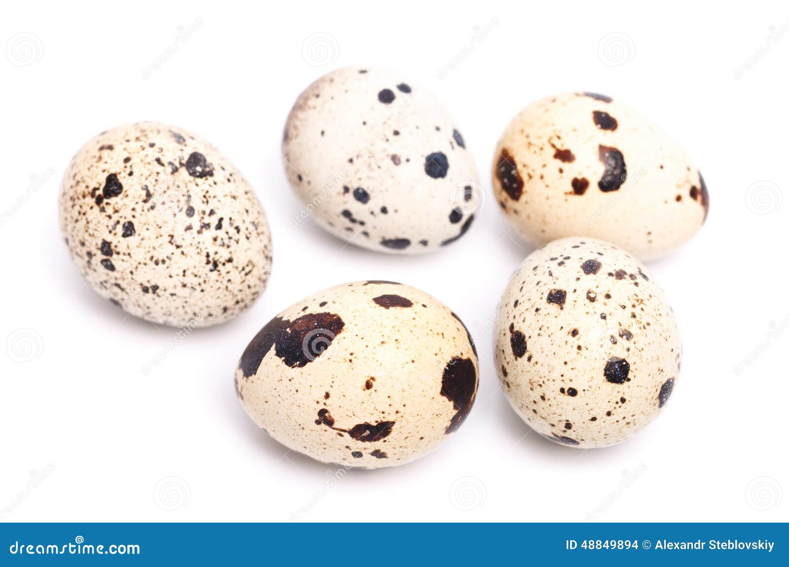 Few quail eggs stock photo. Image of eating, lifestyles - 48849894
