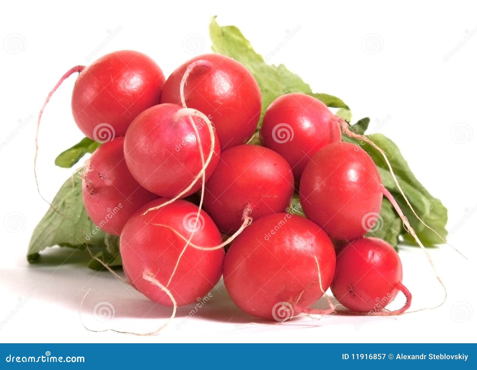 Few raw radishes stock image. Image of group, healthy - 11916857