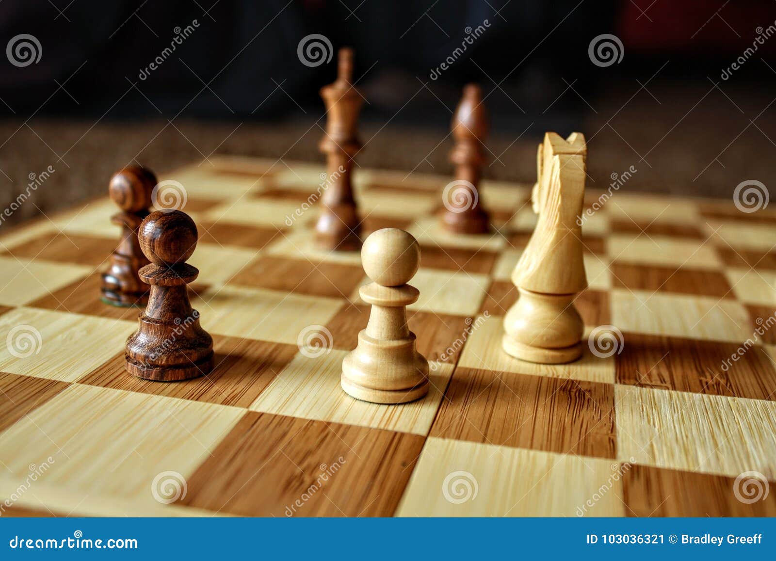 Chess endgame stock image. Image of king, chessboard - 103036321