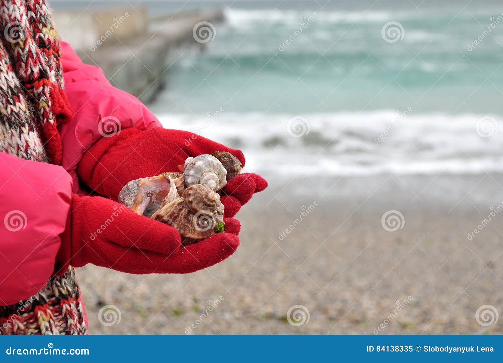 Few shells in hands stock image. Image of childhood, natural - 84138335