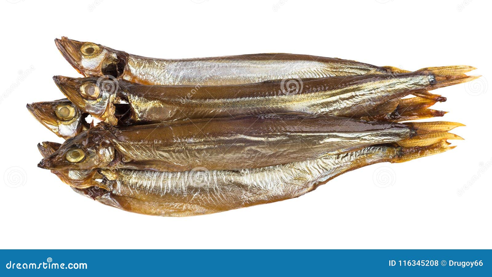 Few Smoked Capelin Isolated on White Background Stock Photo - Image of ...