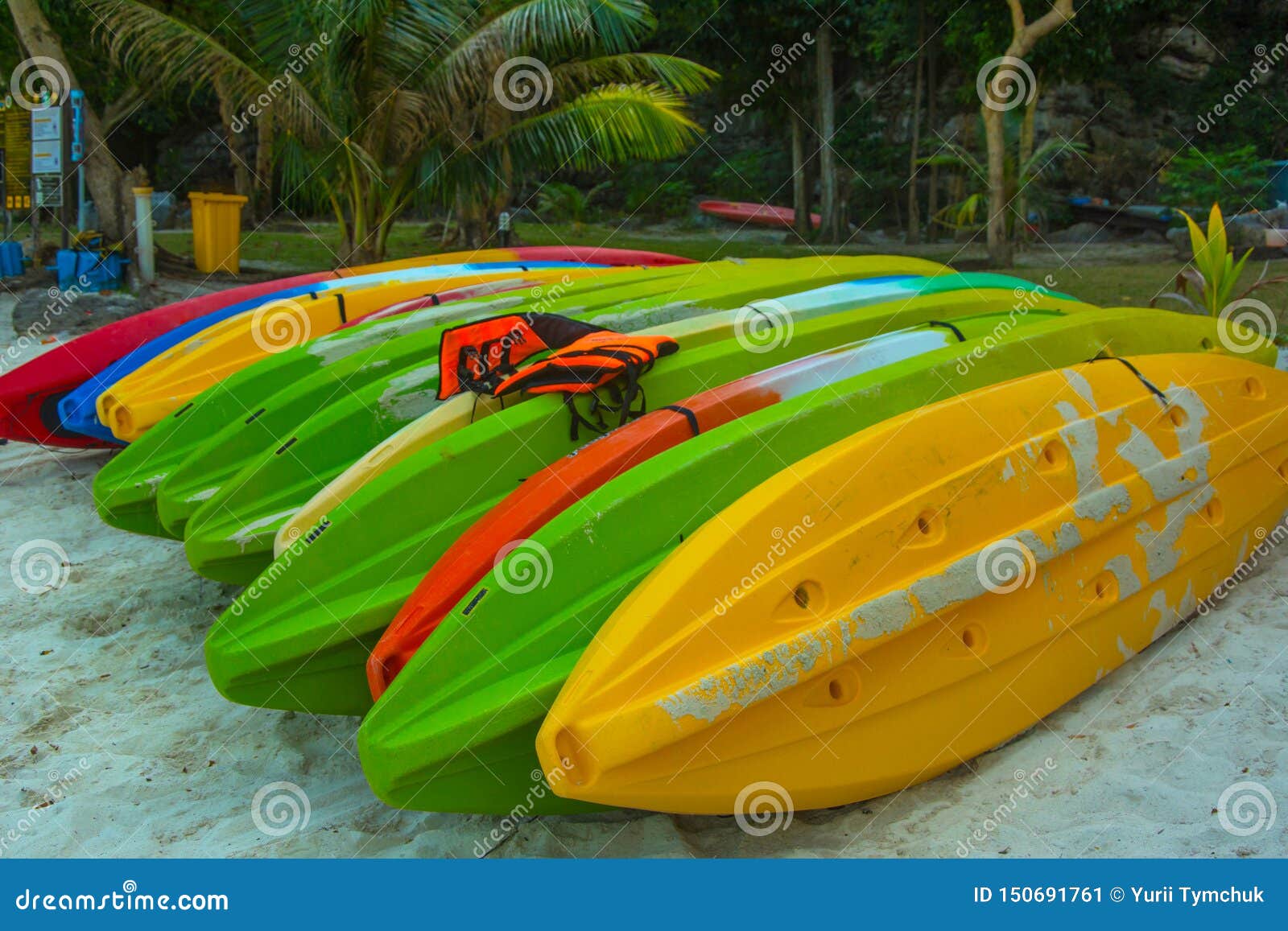 A Few Upside Down Kayaks Laying among of Palm Trees Stock Image - Image ...