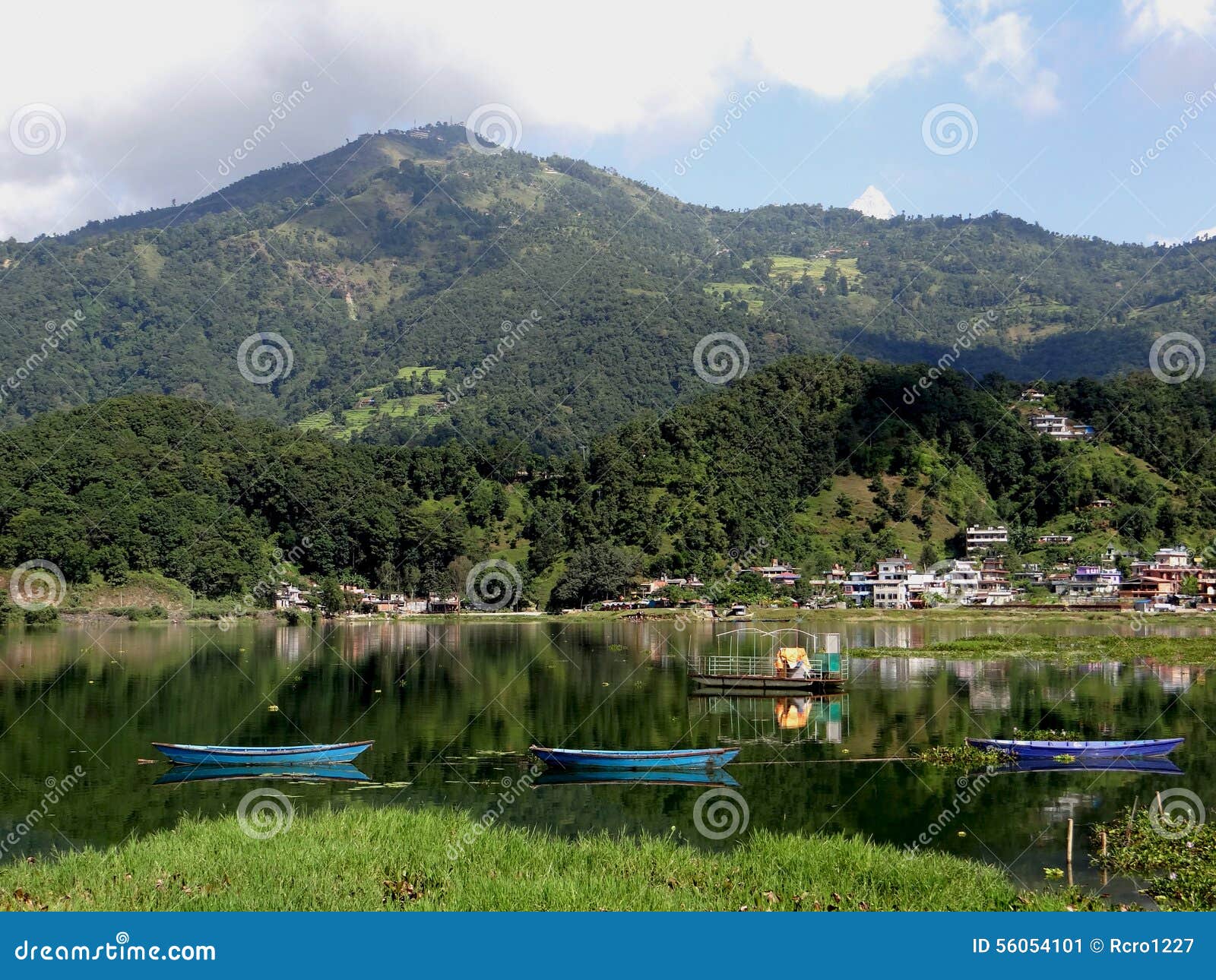 Fewa Lake, Nepal stock image. Image of wetland, bank - 56054101