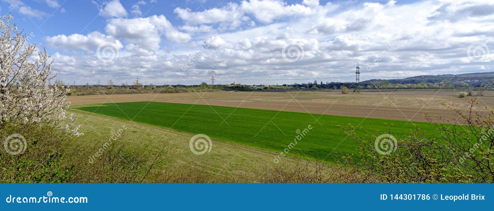 Farmland at spring stock photo. Image of field, line - 144301786