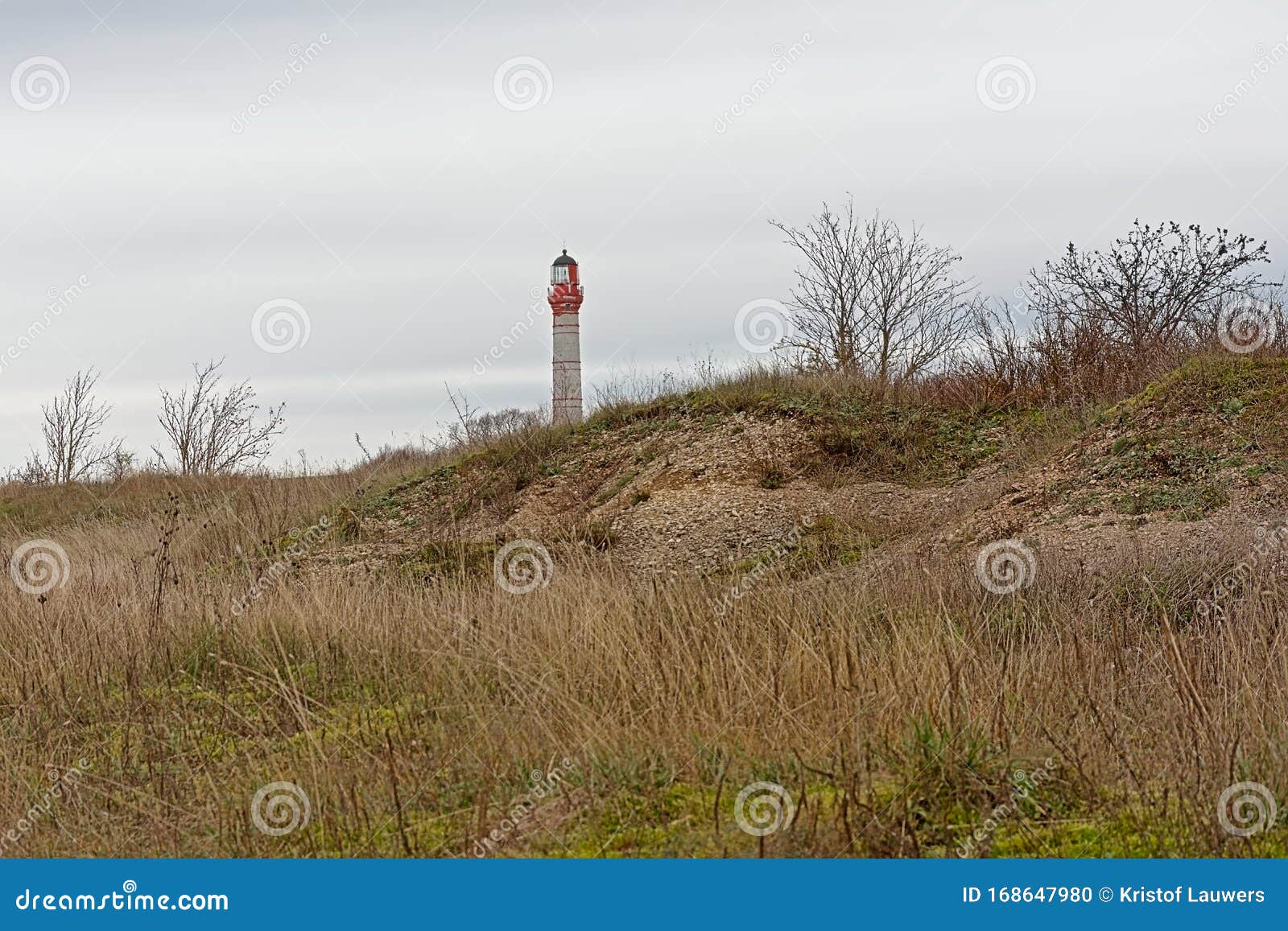 Ffield with High Grass and Bare Shrubs and a Light Tower on the Cliffs ...