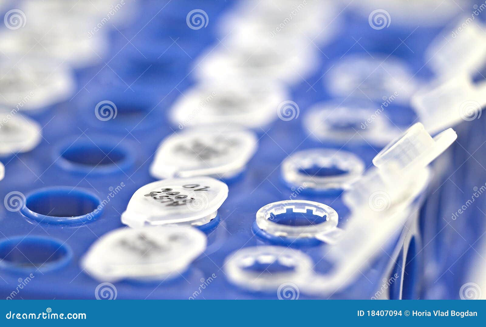 Fiale Contrassegnate Chiuse Ed Aperte Del Laboratorio Fotografia Stock ...