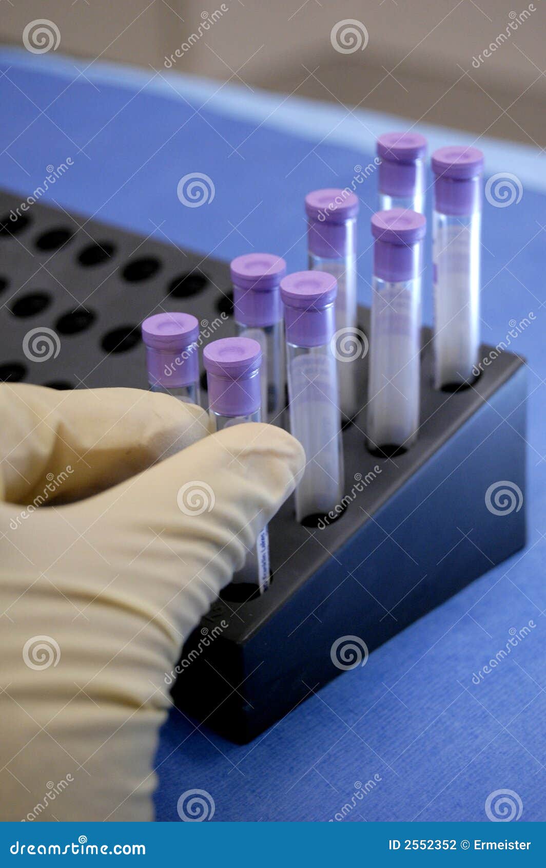 Fiale Per Anima O I Prodotti Chimici Fotografia Stock - Immagine di ...