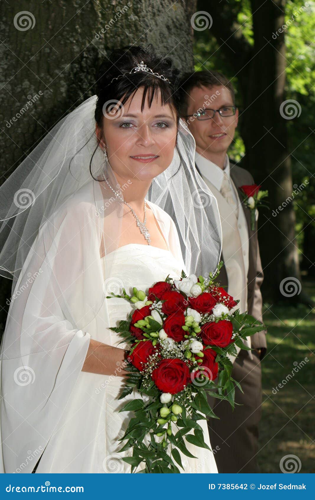 Fianc and Husband by the Tree Stock Photo - Image of groom, people: 7385642