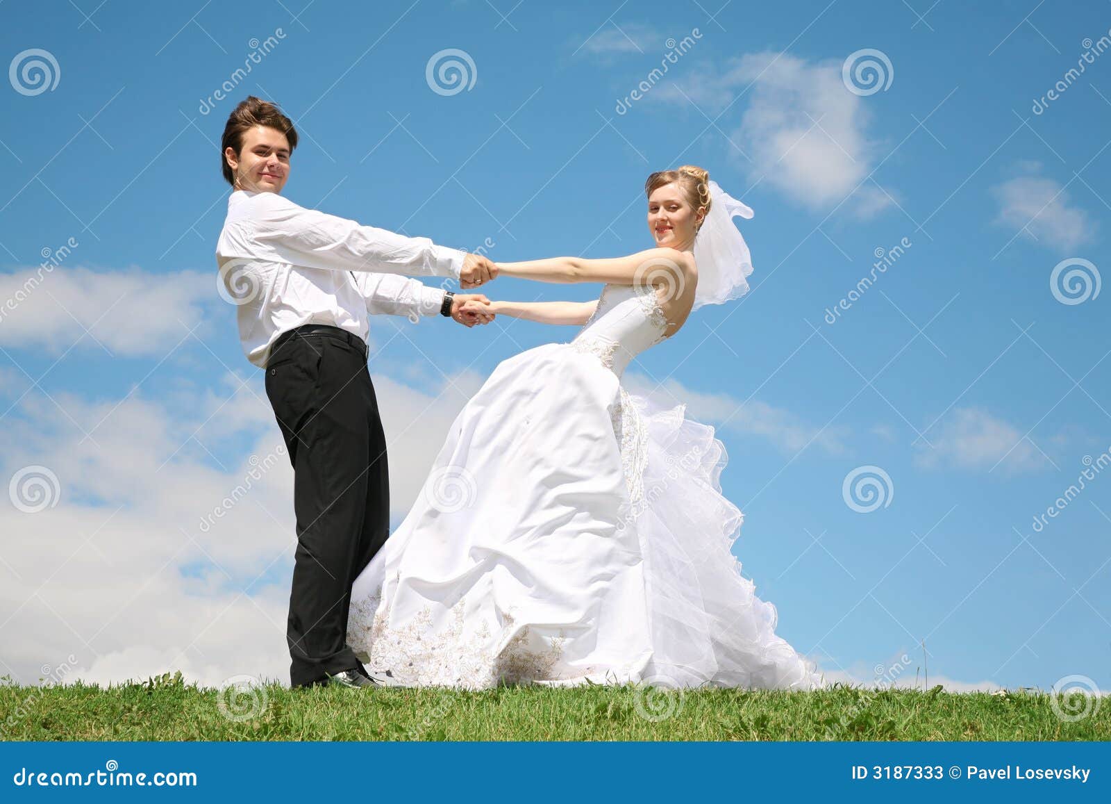 Fiance with the bride stock image. Image of females, glamour - 3187333