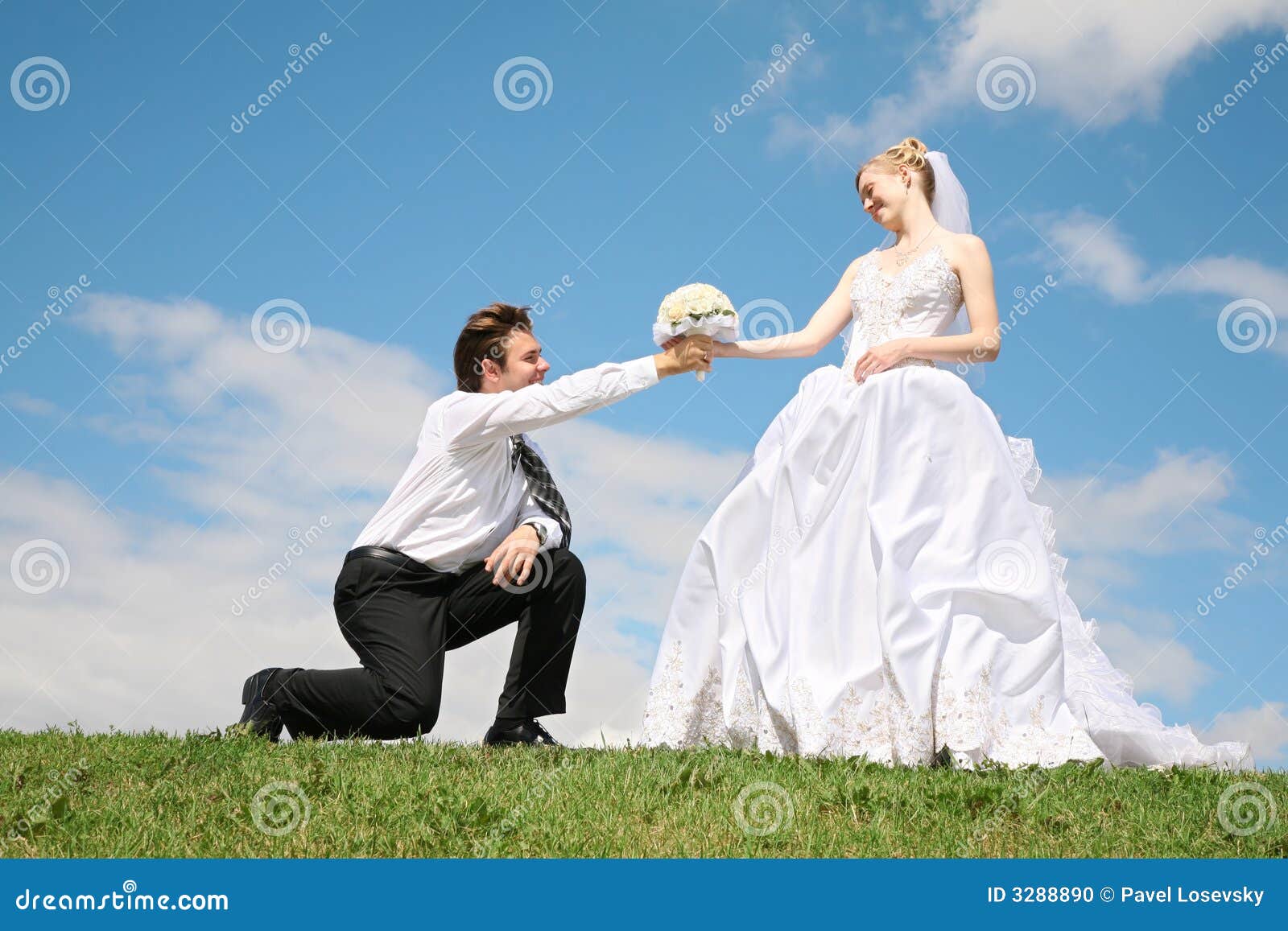 Fiance and bride stock photo. Image of femininity, flowers - 3288890
