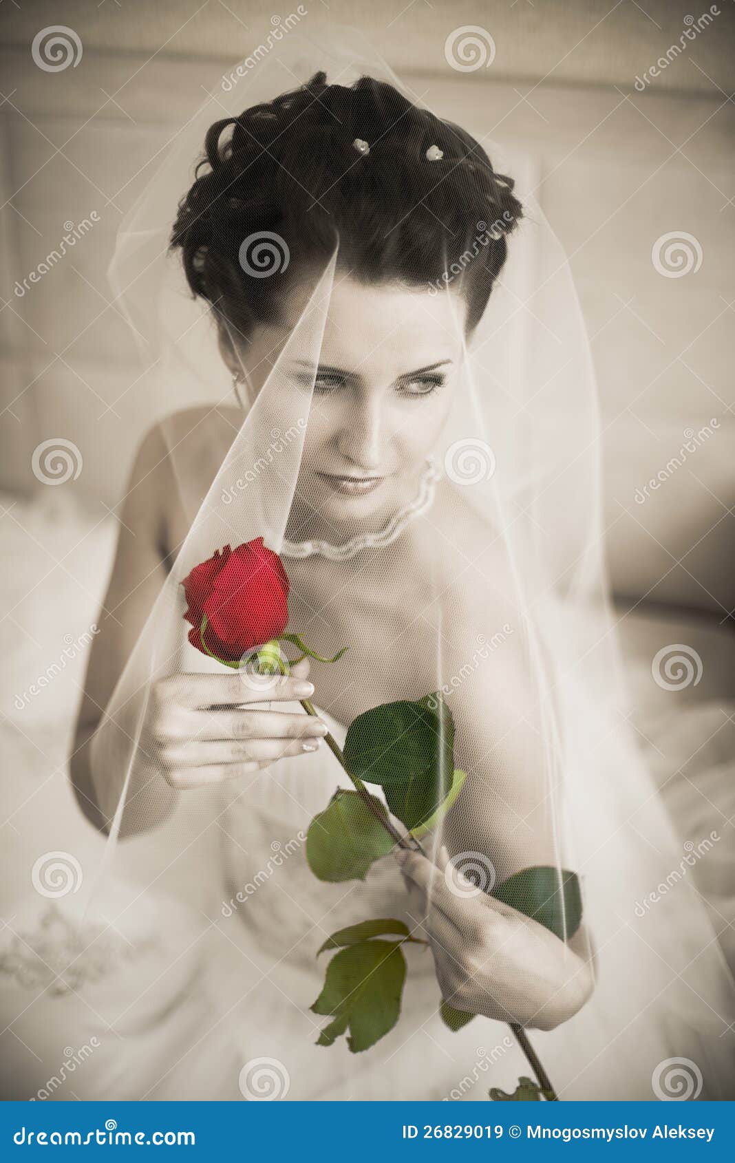 Fiancee stock image. Image of girl, celebrations, portrait - 26829019