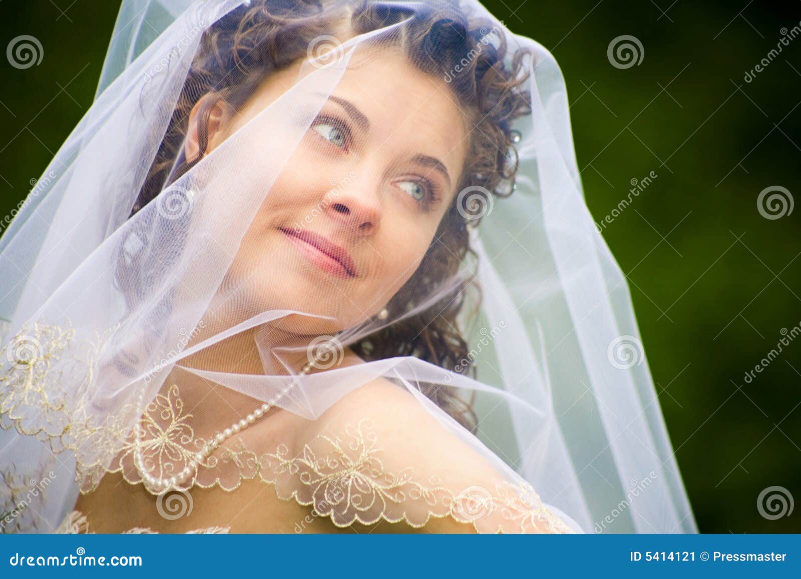 Fiancee stock image. Image of glamour, celebrate, natural - 5414121