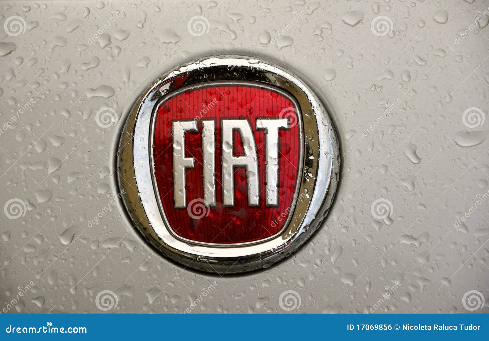 Team Fiat Logo