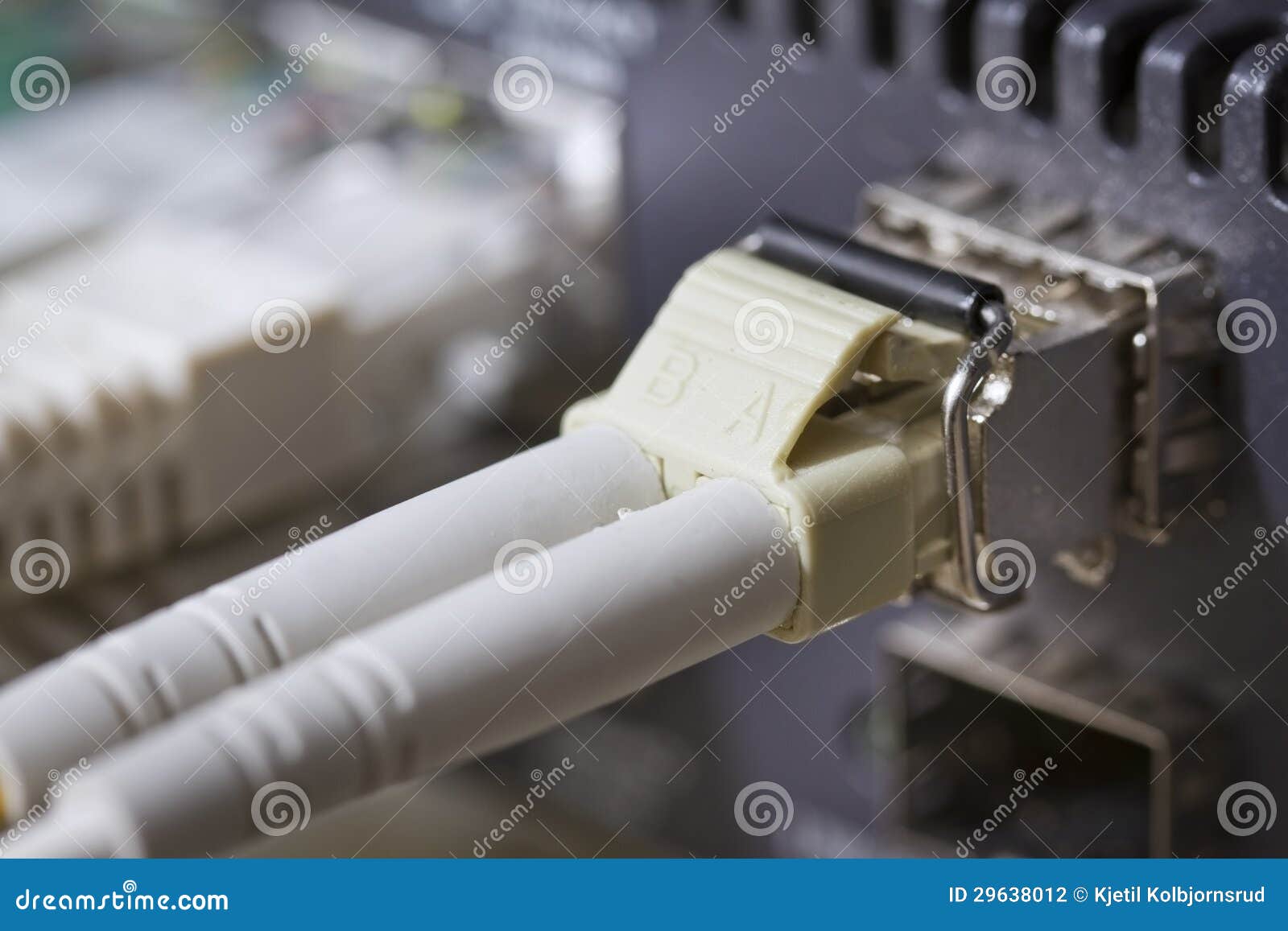 Fiber Cable in Network Switch Stock Photo - Image of communication ...