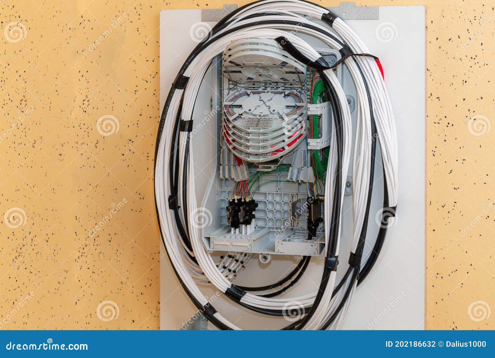 Internet Distribution Network Of A Building, Internet Panel And Cables ...