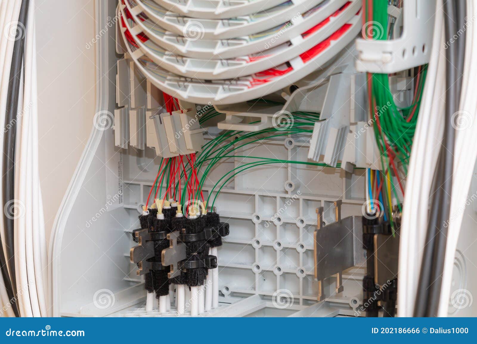 Fiber Distribution Box. PLC Splitter Ftth Terminal Box Stock Photo ...