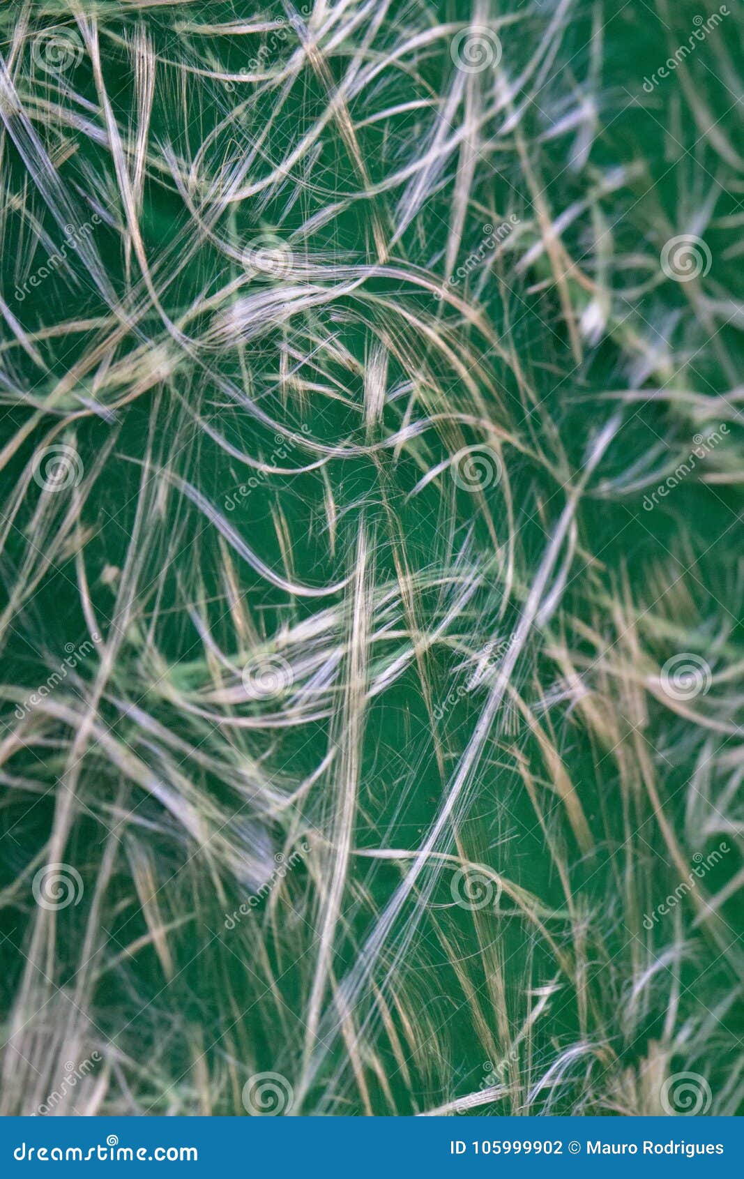 Fiber glass texture stock photo. Image of fiberglass - 105999902