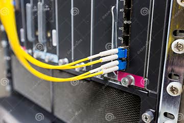 Fiber Optic Cable Connect To Ethernet Switch Stock Image - Image of ...