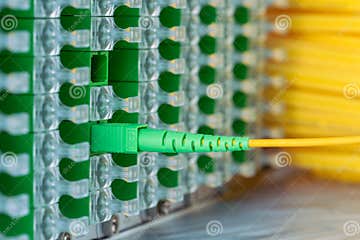 Fiber Optic Cable Connected To Distribution Frame of Passive Optical ...