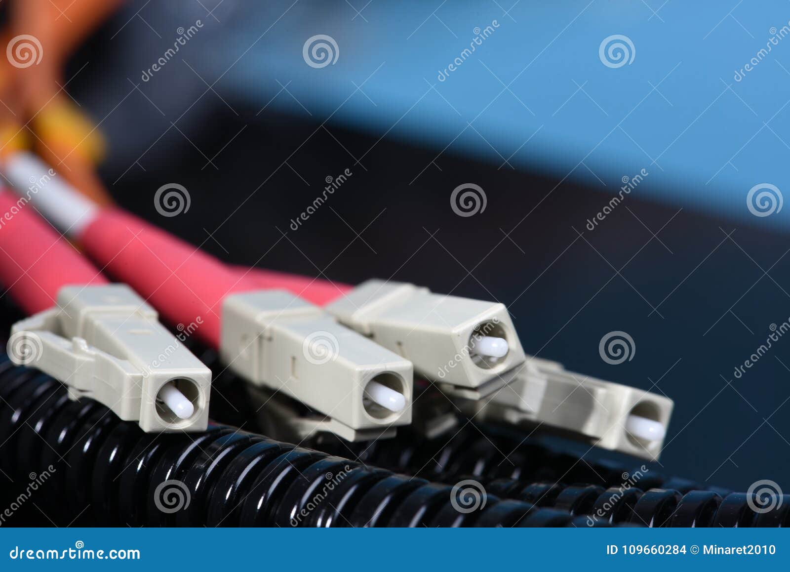 Fiber Optic Cable with Connectors Stock Photo - Image of networking ...