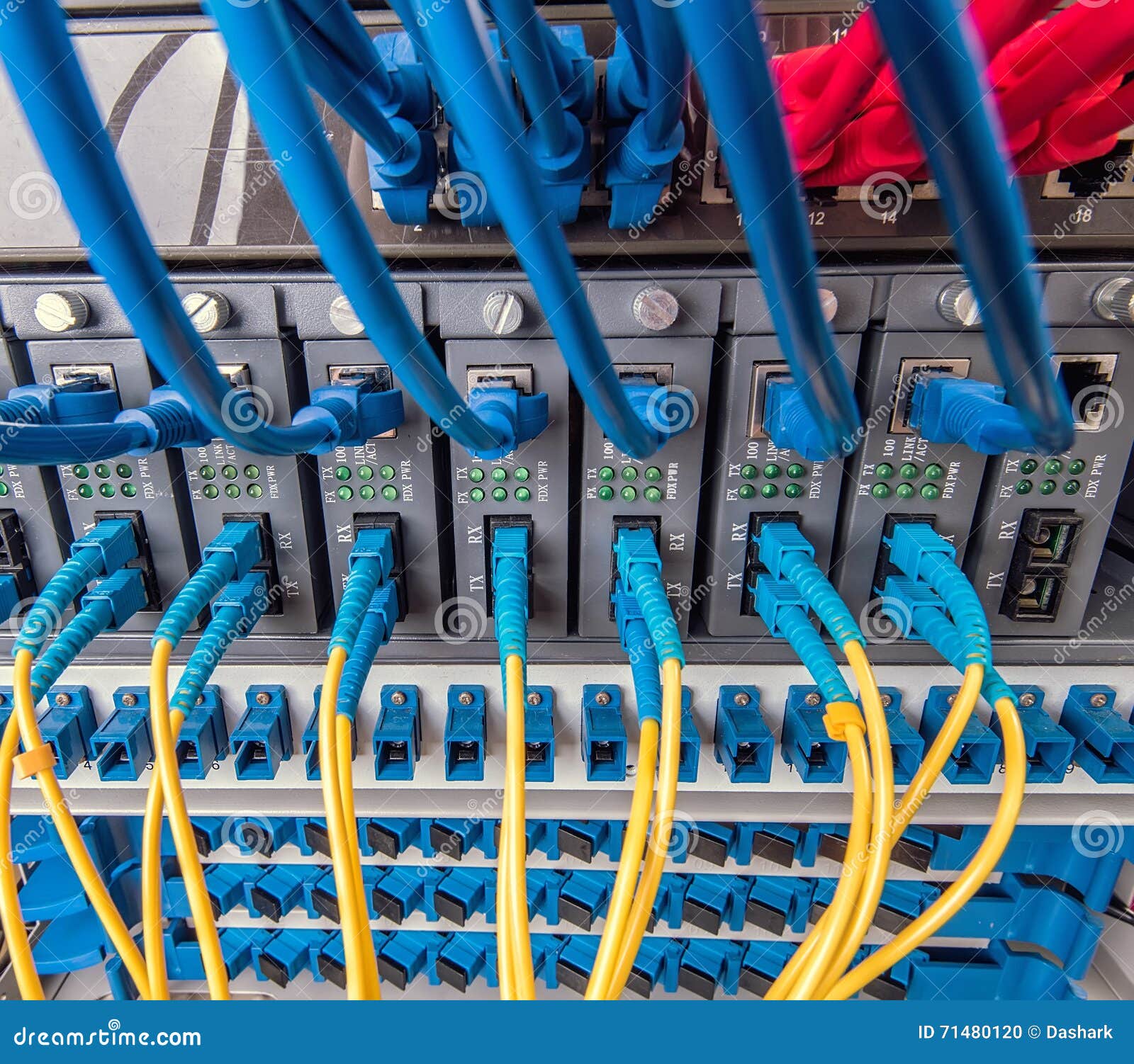Fiber Optic Cables Connected To an Optic Ports and Cable Stock Photo ...