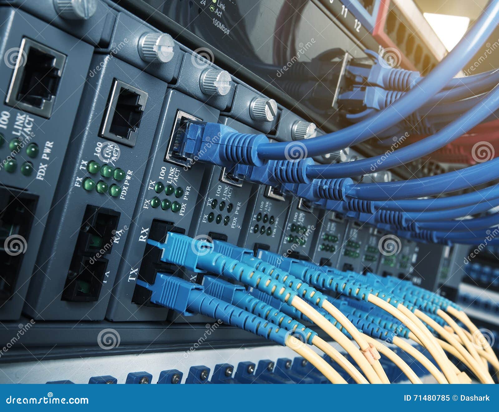Fiber Optic Cables Connected To an Optic Ports and Cable Stock Image ...