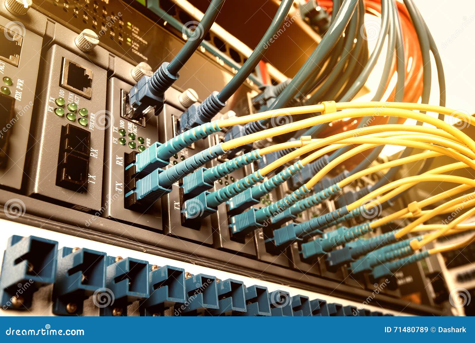 Fiber Optic Cables Connected To an Optic Ports and Cable Stock Image ...