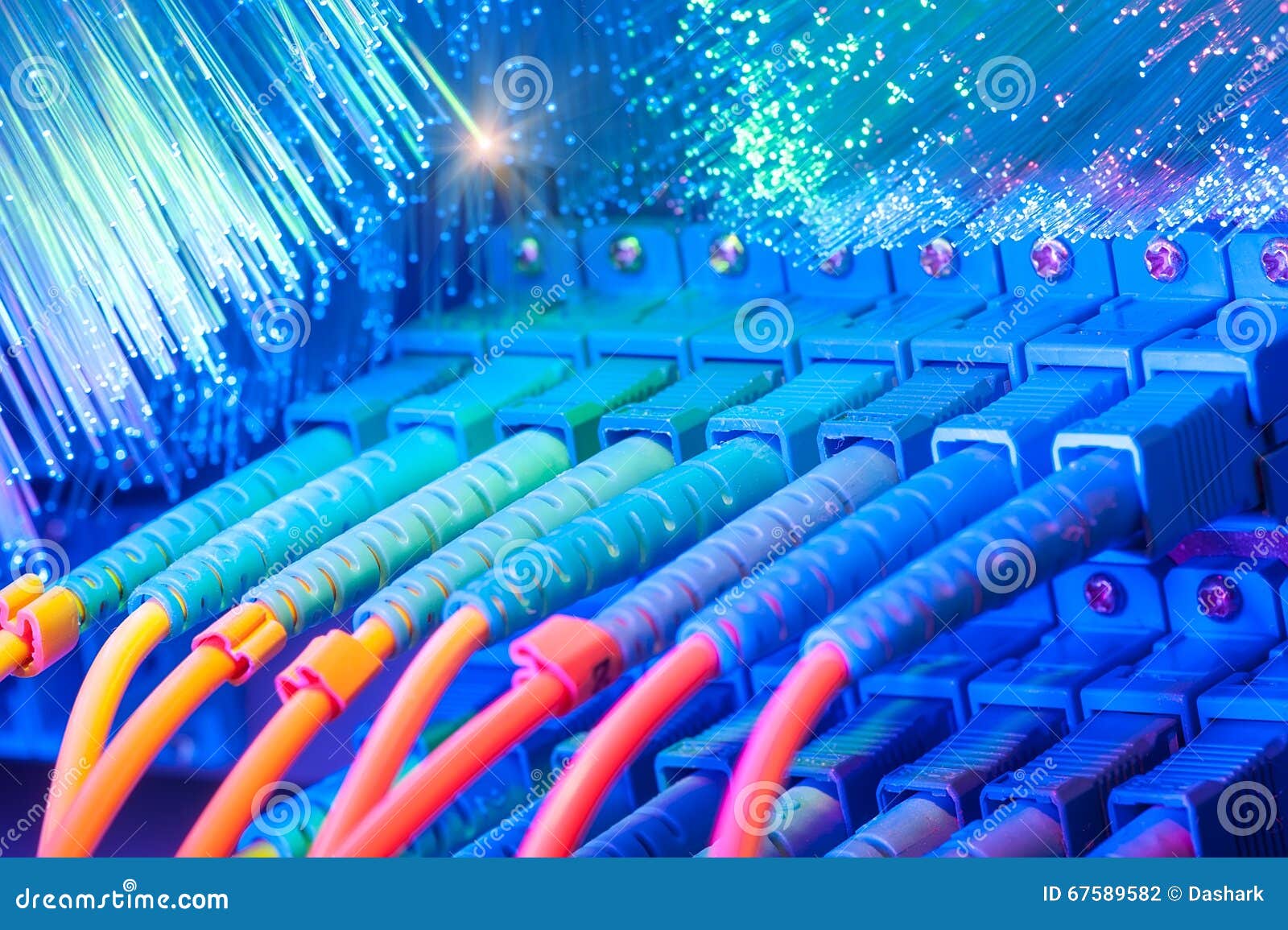 Fiber Optic Cables Connected To an Optic Ports Stock Photo - Image of ...