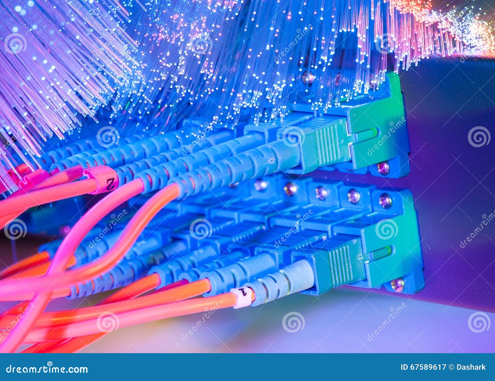 Fiber Optic Cables Connected To an Optic Ports Stock Image - Image of ...