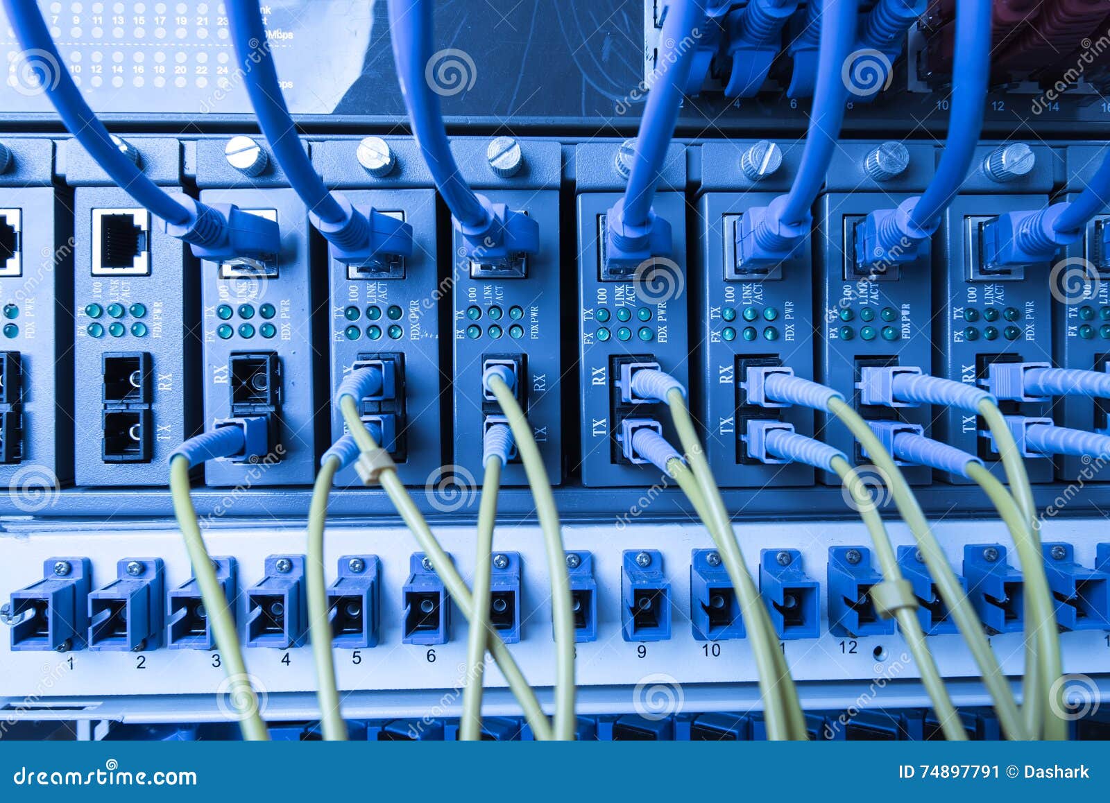 Fiber Optic Cables Connected To an Optic Ports and Network Stock Image ...