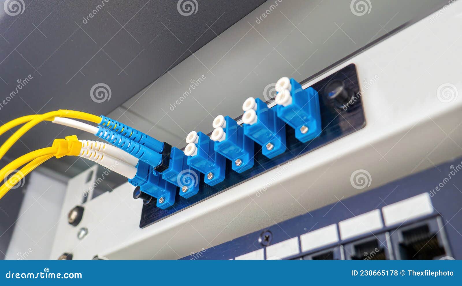 Fiber Optic Cables Connected To an Optic Ports Stock Photo - Image of ...