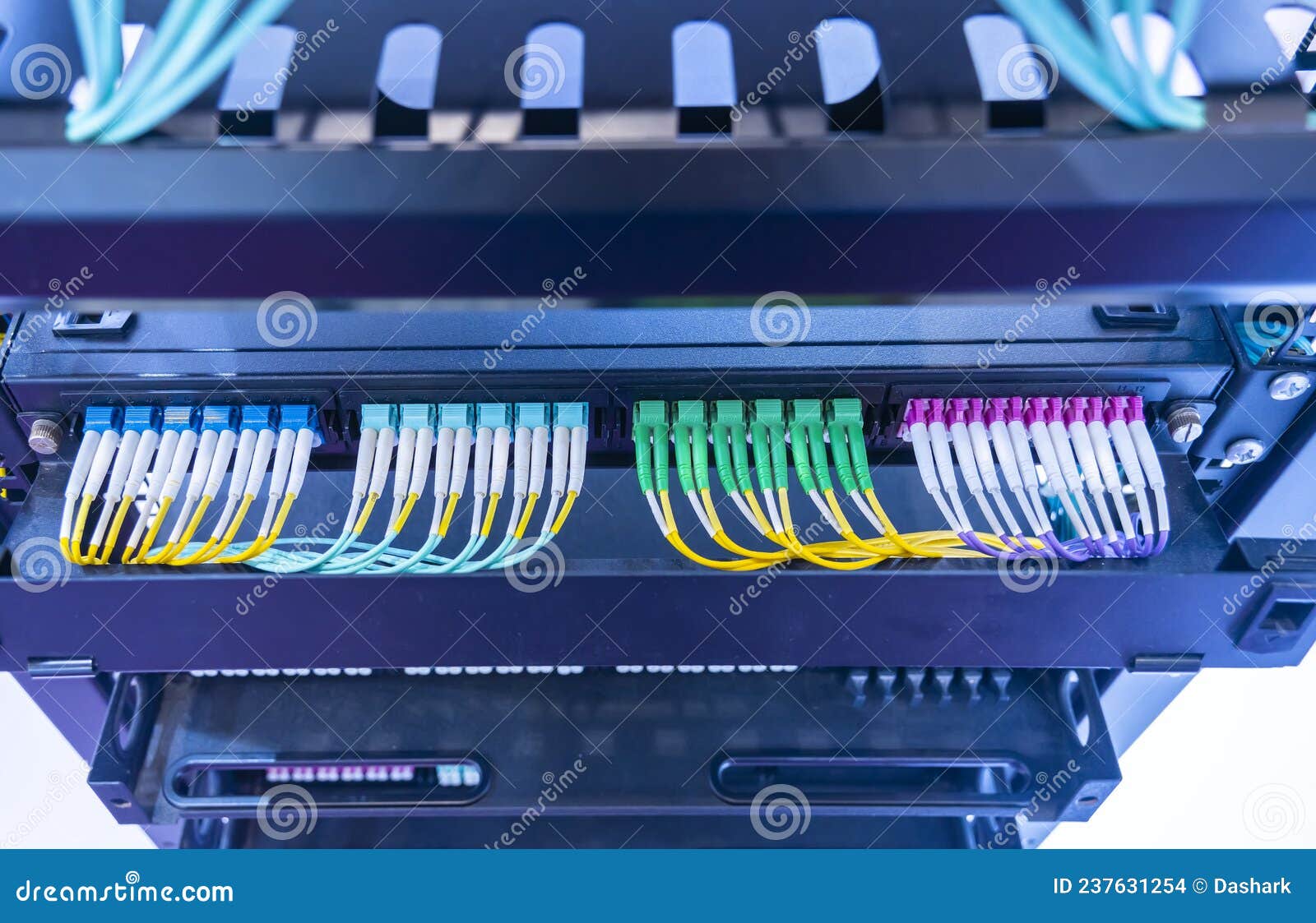 Fiber Optic Cables Connected To Optic Ports Stock Photo - Image of high ...