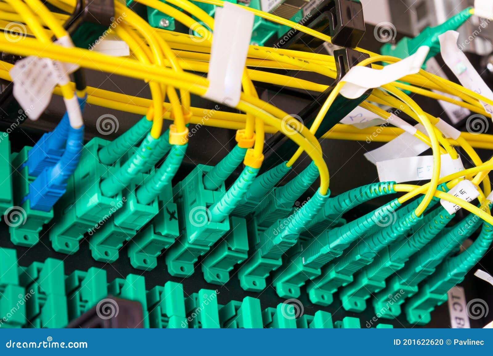 Fiber Optic Cables Connected To an Optic Ports Stock Photo - Image of ...