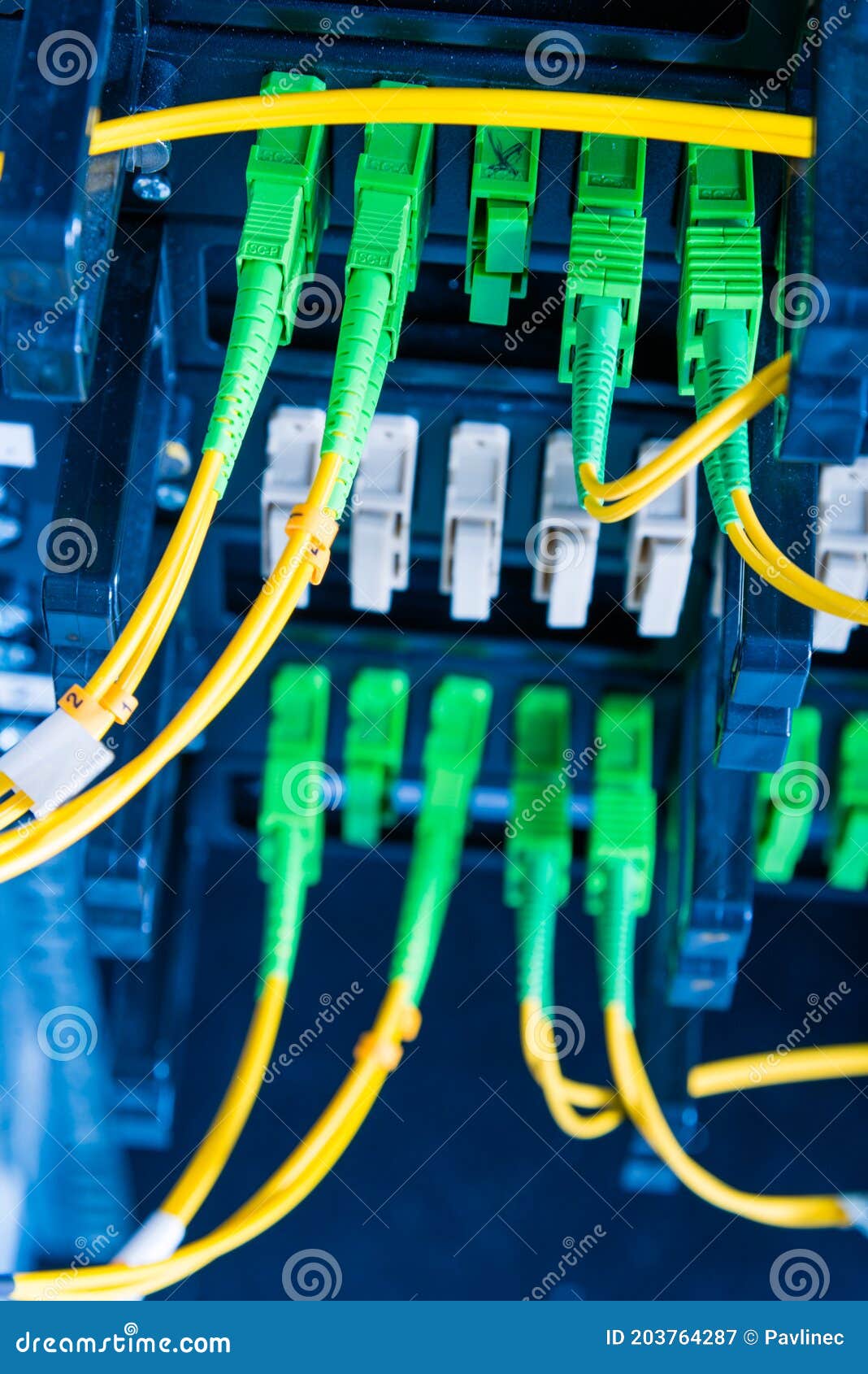 Fiber Optic Cables Connected To an Optic Ports Stock Image - Image of ...