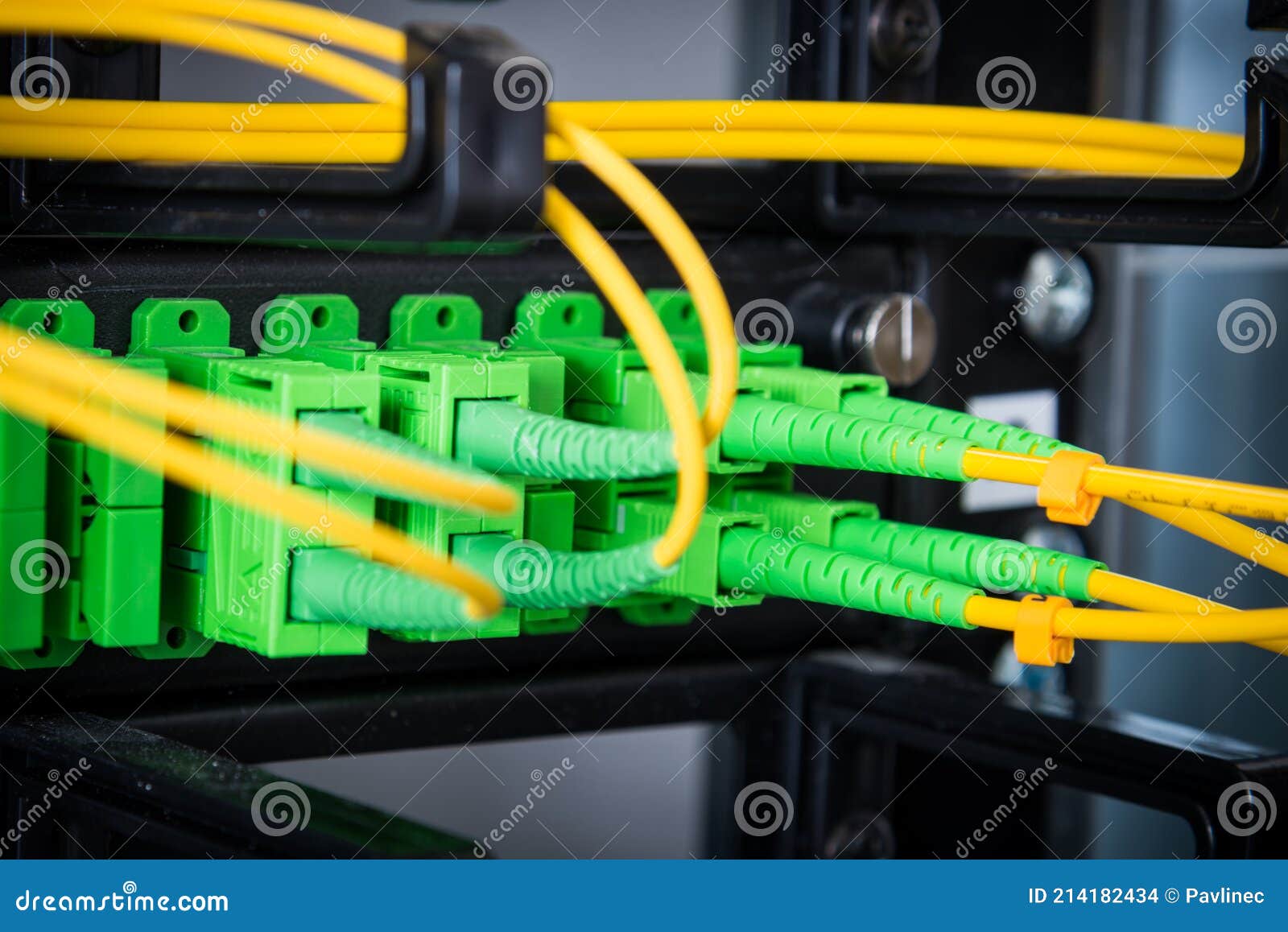 Fiber Optic Cables Connected To an Optic Ports Stock Photo - Image of ...