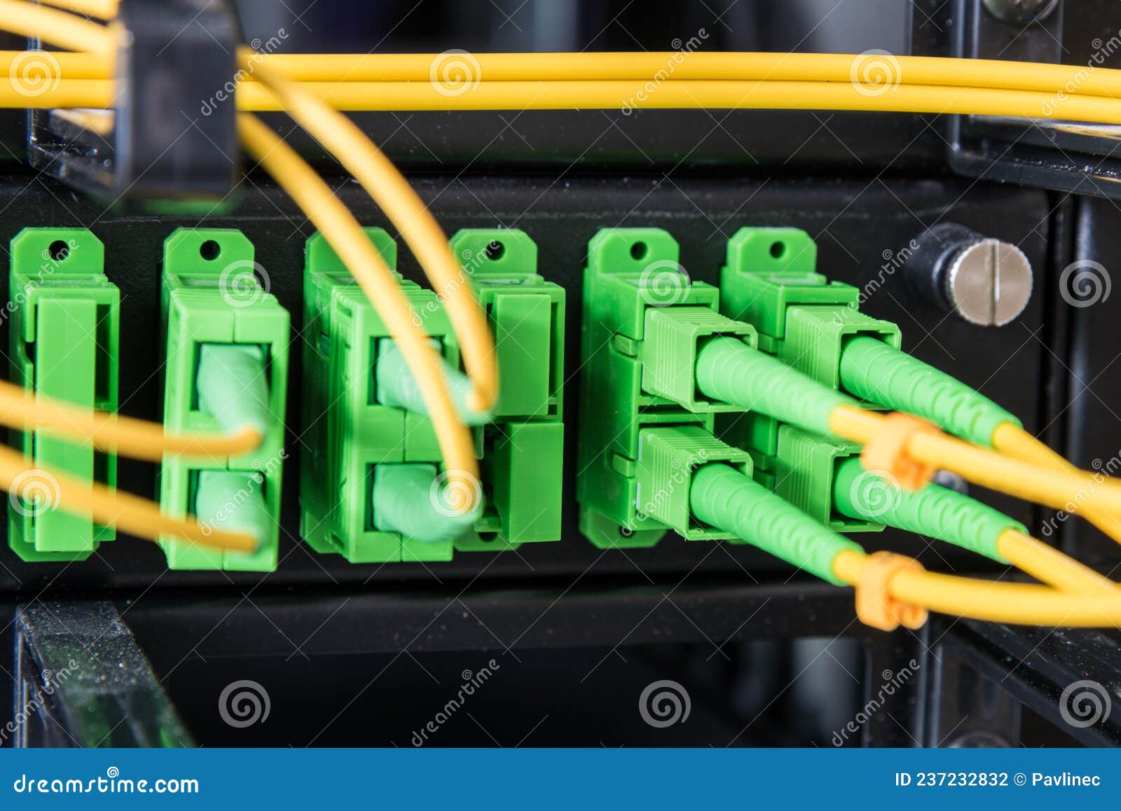 Fiber Optic Cables Connected To an Optic Ports Stock Photo - Image of ...
