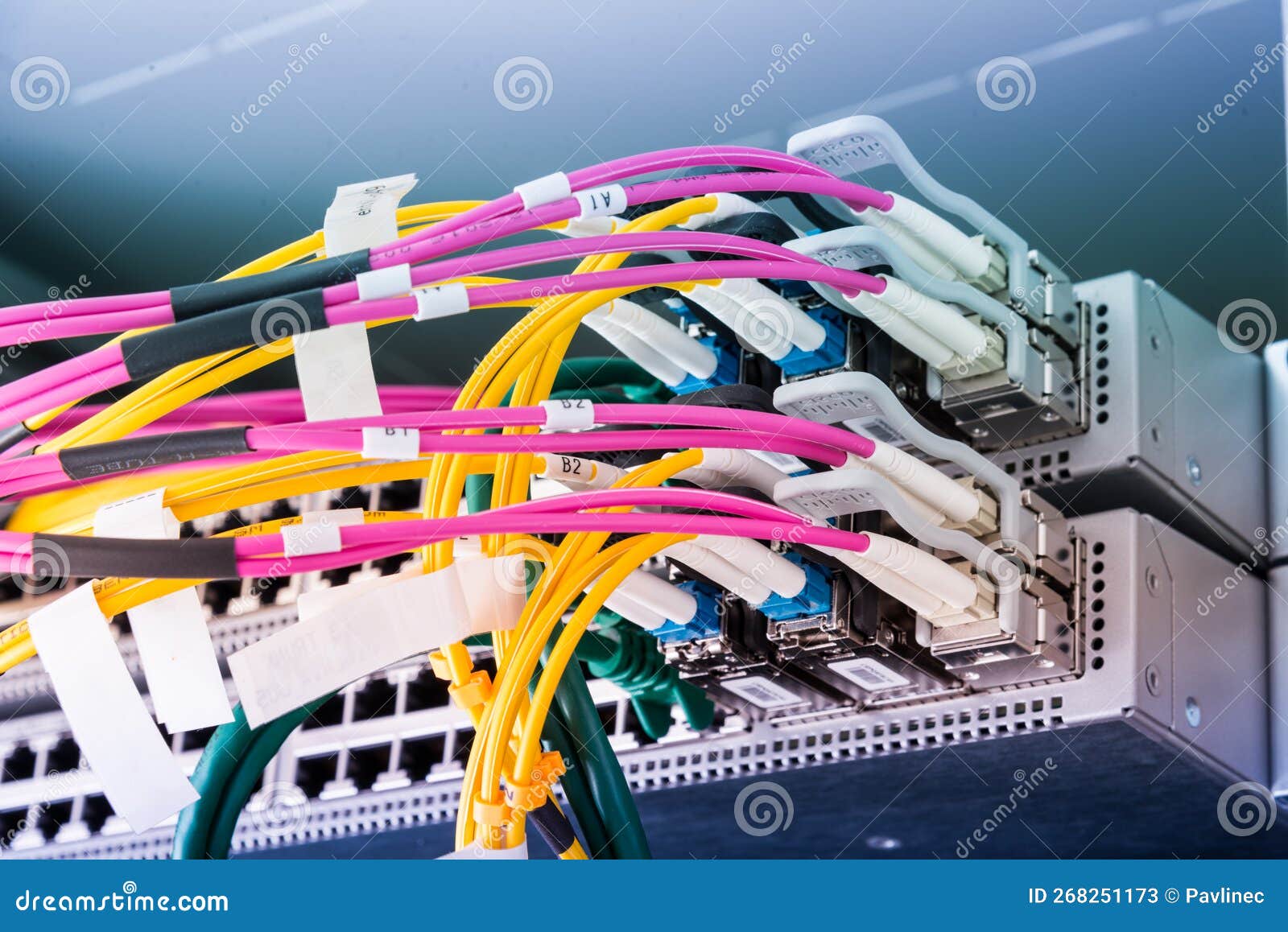 Fiber Optic Cables Connected To an Optic Ports Stock Image - Image of ...
