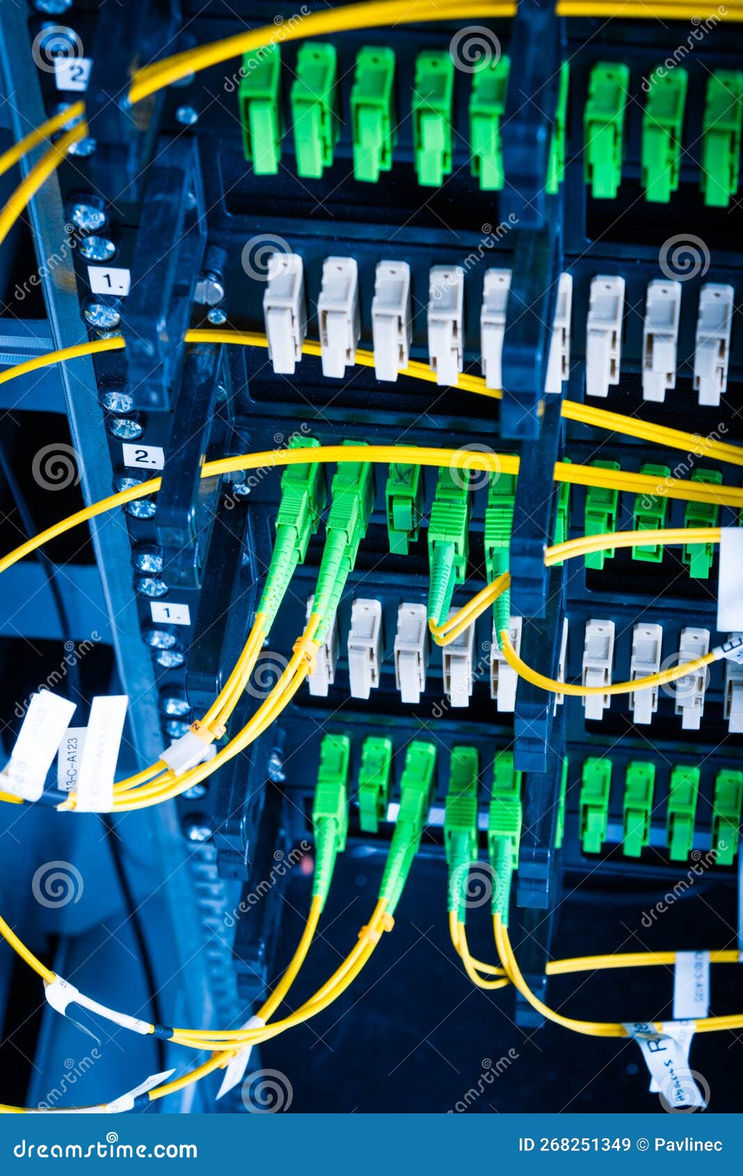 Fiber Optic Cables Connected To an Optic Ports Stock Image - Image of ...