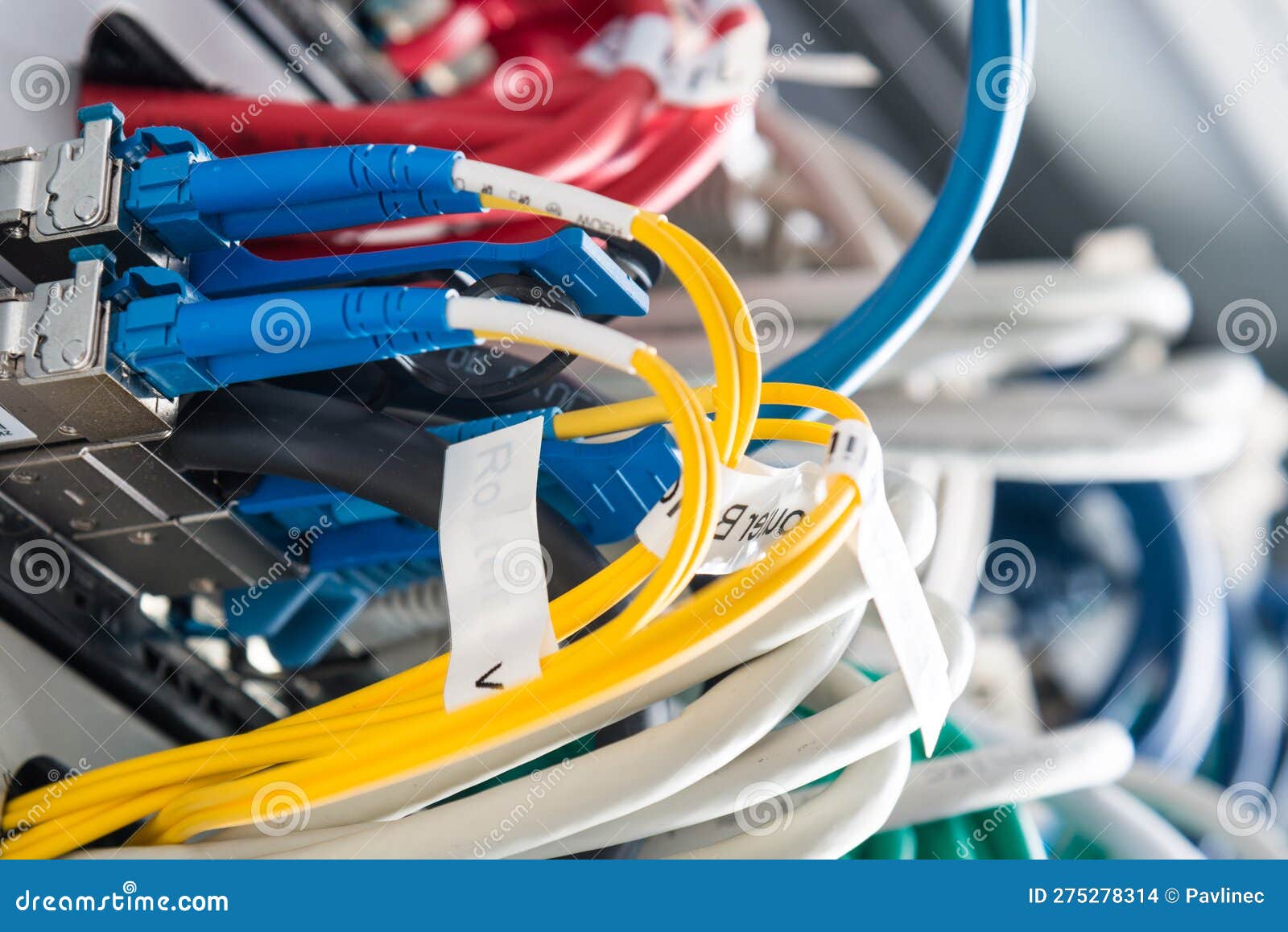 Fiber Optic Cables Connected To an Optic Ports Stock Photo - Image of ...