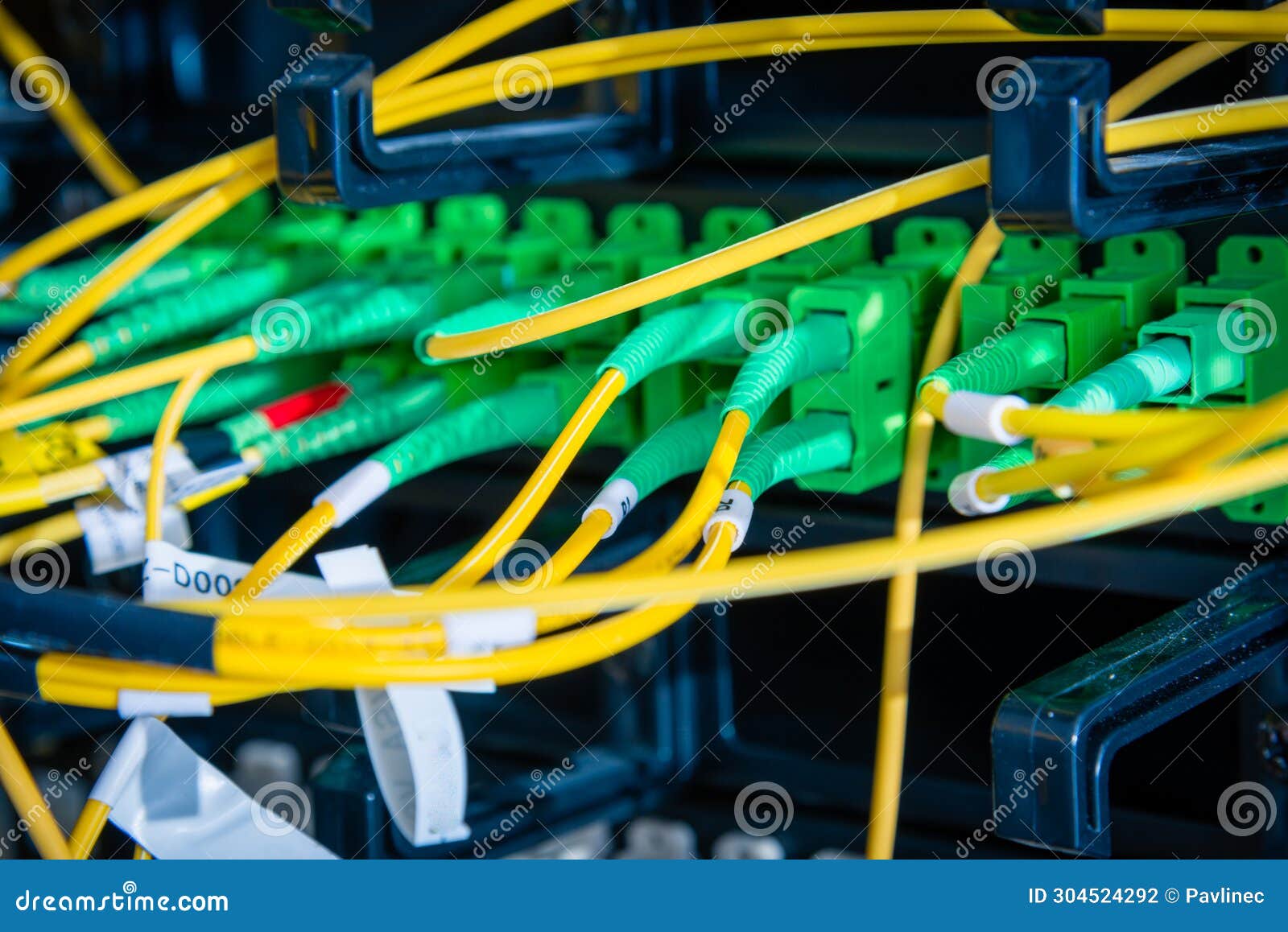 Fiber Optic Cables Connected To an Optic Ports Stock Photo - Image of ...
