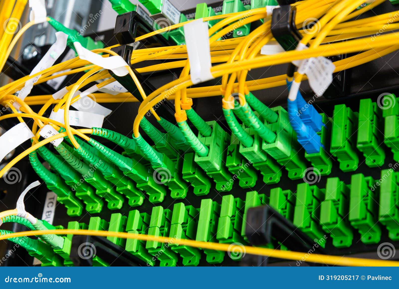 Fiber Optic Cables Connected To an Optic Ports Stock Image - Image of ...