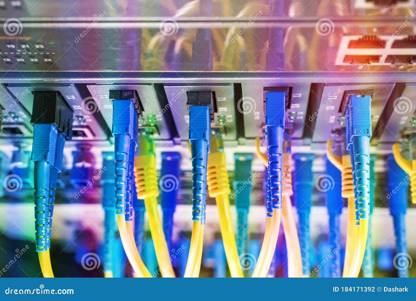 Fiber Optic Cables Connected To an Optic Ports Stock Photo - Image of ...