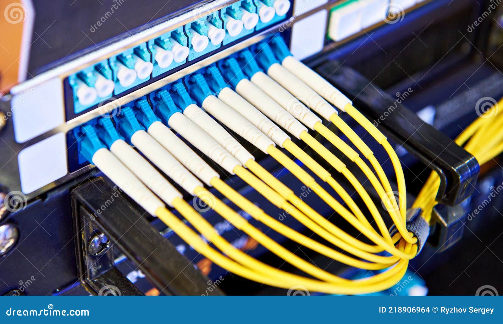 Fiber Optic Cables with Connectors on Switch Stock Photo - Image of ...