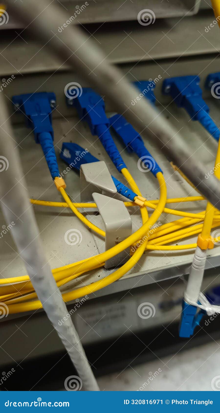 Fiber Optic Cables in Network Rack Stock Image - Image of data ...