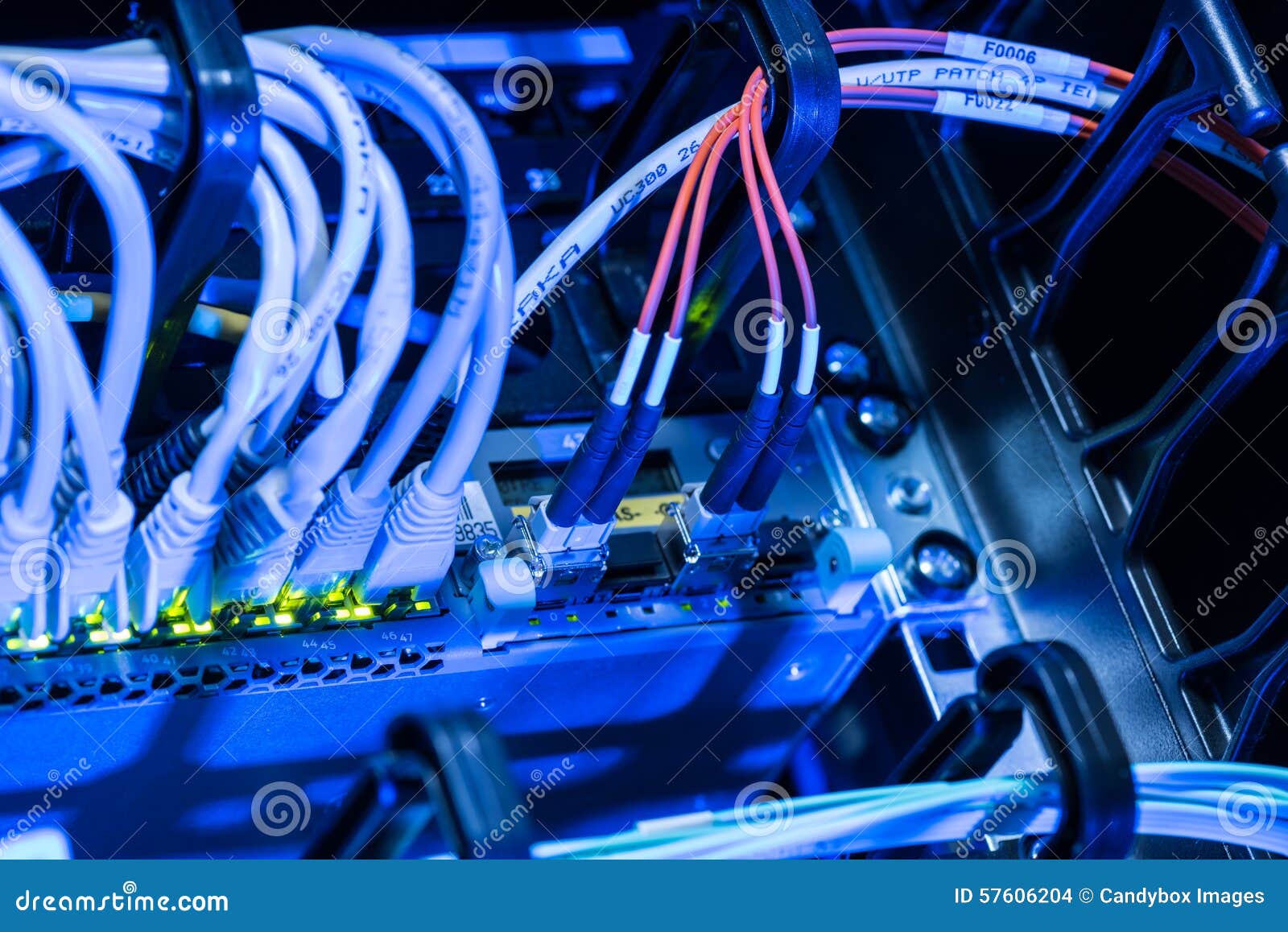 Fiber Optic Cables in Network Switch Stock Photo - Image of server ...