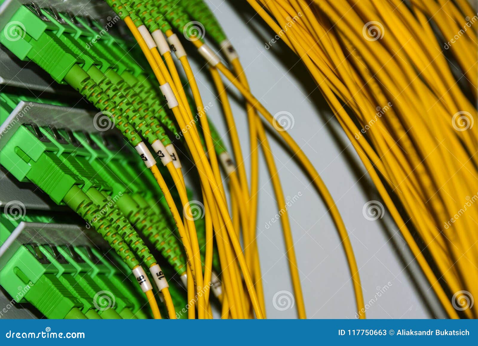 Fiber Optic Cables on the Patch Panel in the Telecommunications Cabinet ...